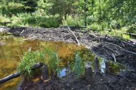 Wandelen rond het stuwmeer van Coo - Weer Op Weg