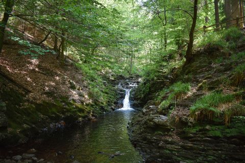 Wandelen rond het stuwmeer van Coo - Weer Op Weg