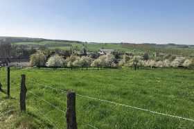 Wandelen rond het stuwmeer van Coo - Weer Op Weg